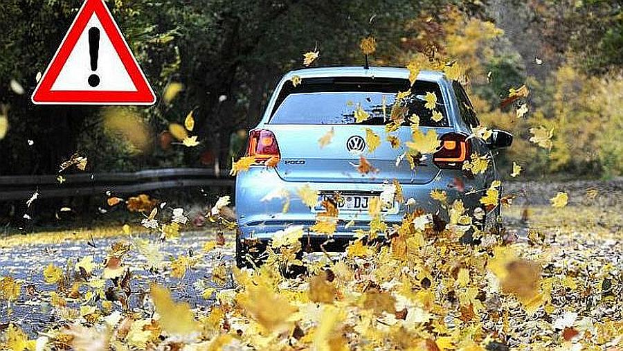 Vozači oprez! Jesen je! Kiša i lišće opasna su kombinacija na cesti ...